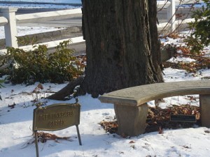 Wellesley & The Hunnewell Family - The Swellesley Report