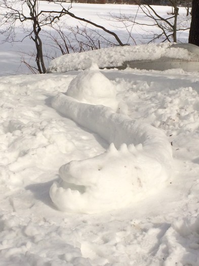 Morses Pond monster slithers ashore in Wellesley - The Swellesley Report