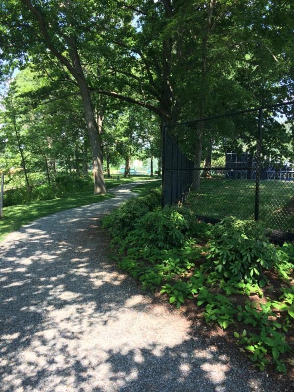 Fuller Brook Park trails in Wellesley providing a link - The Swellesley ...