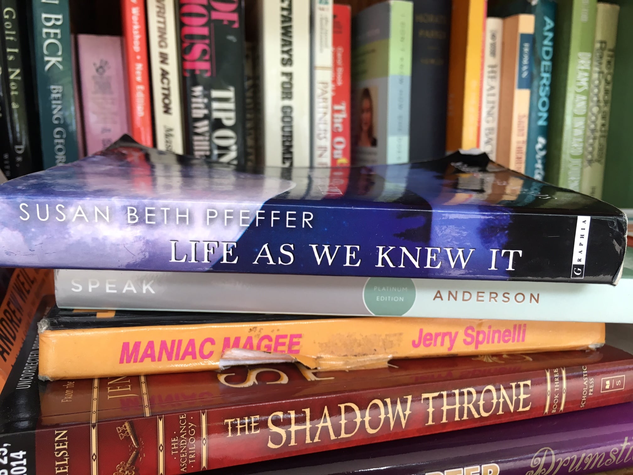 Wellesley schools summer reading lists - The Swellesley Report