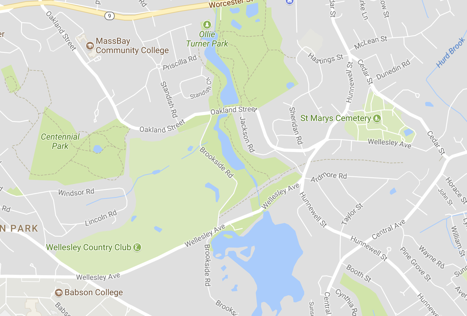 Wellesley's Oakland Street back on the Google map - The Swellesley Report