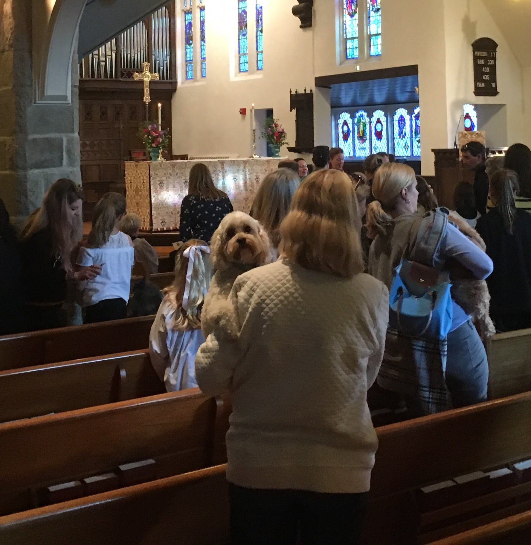 Wellesley church gets furry and fluffy at Blessing of the Animals - The ...