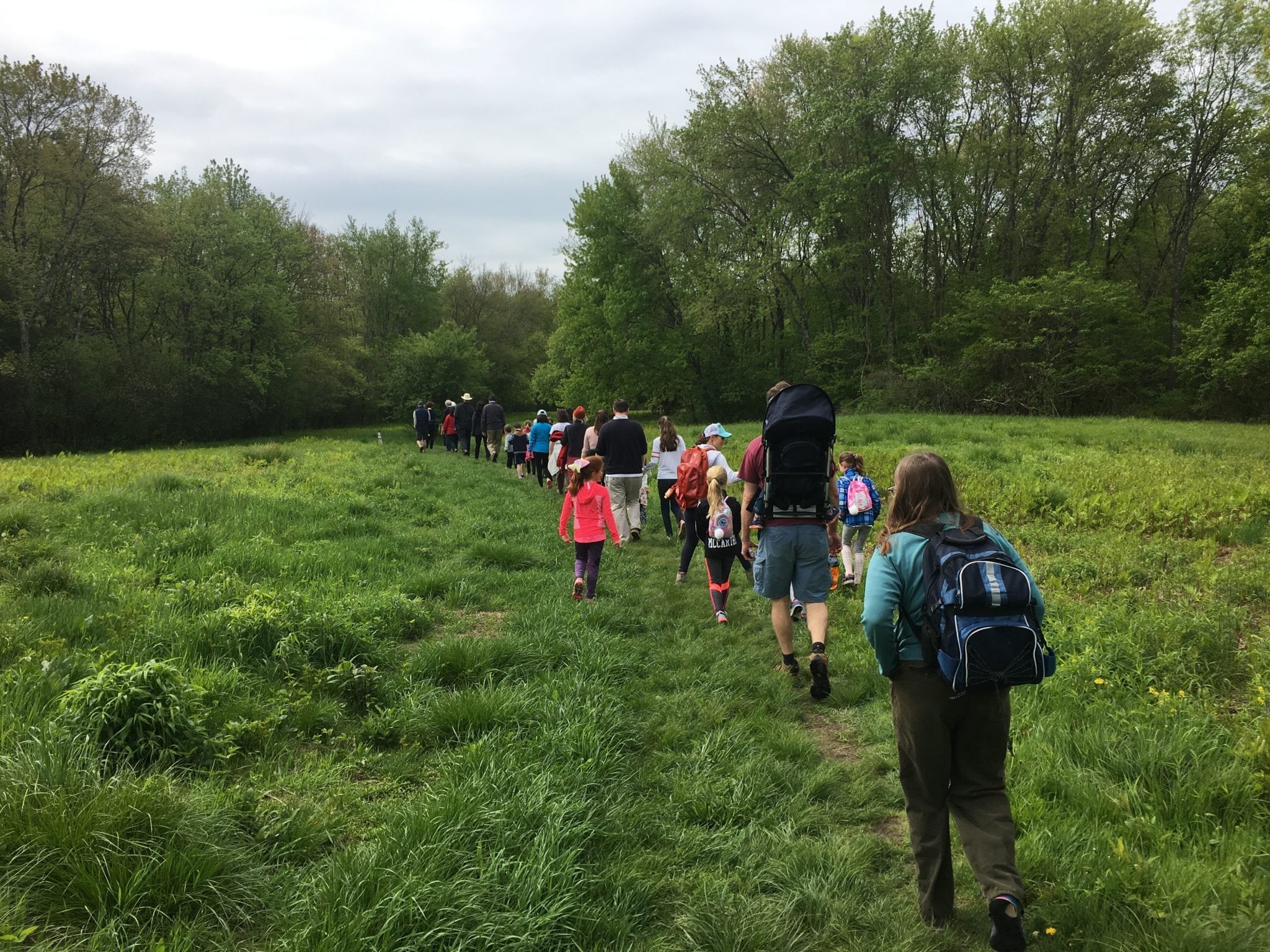 Top 10 things to do in Wellesley, Massachusetts - The Swellesley Report
