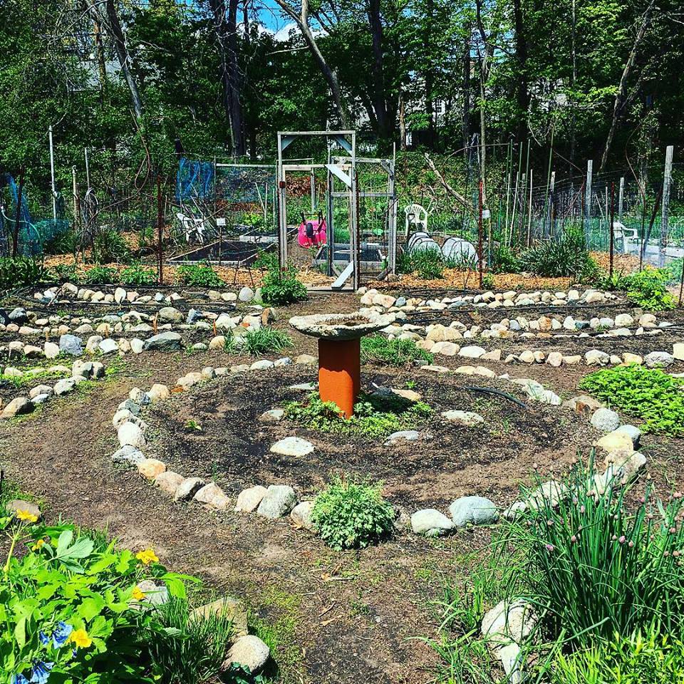 Spring at Brookside Community Gardens in Wellesley - The Swellesley Report