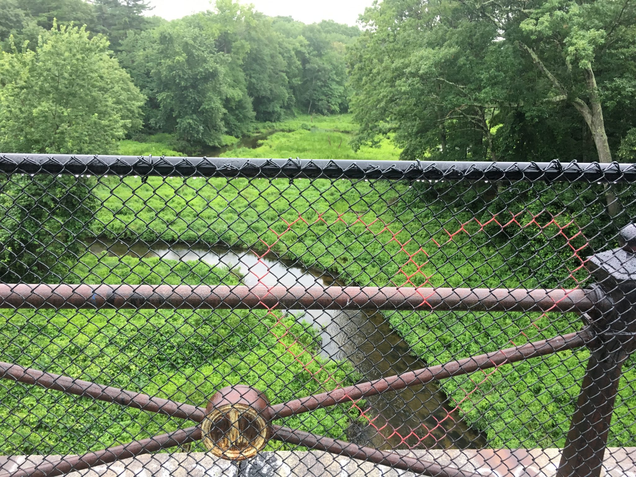Wellesley Trails Committee leading May 18 guided walk of Waban Arches ...