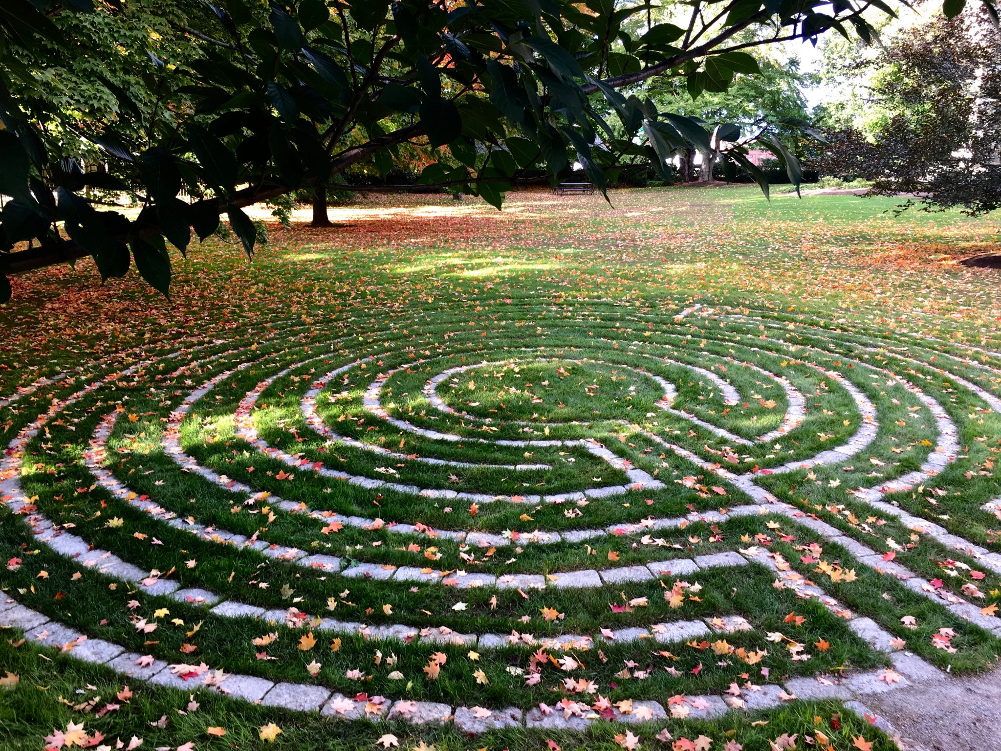 Labyrinths in Wellesley - The Swellesley Report