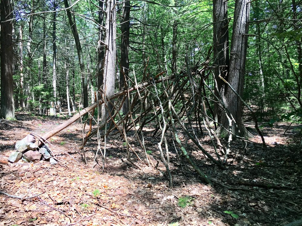 Wellesley's best walk — the Wellesley College Lake Waban loop - The ...
