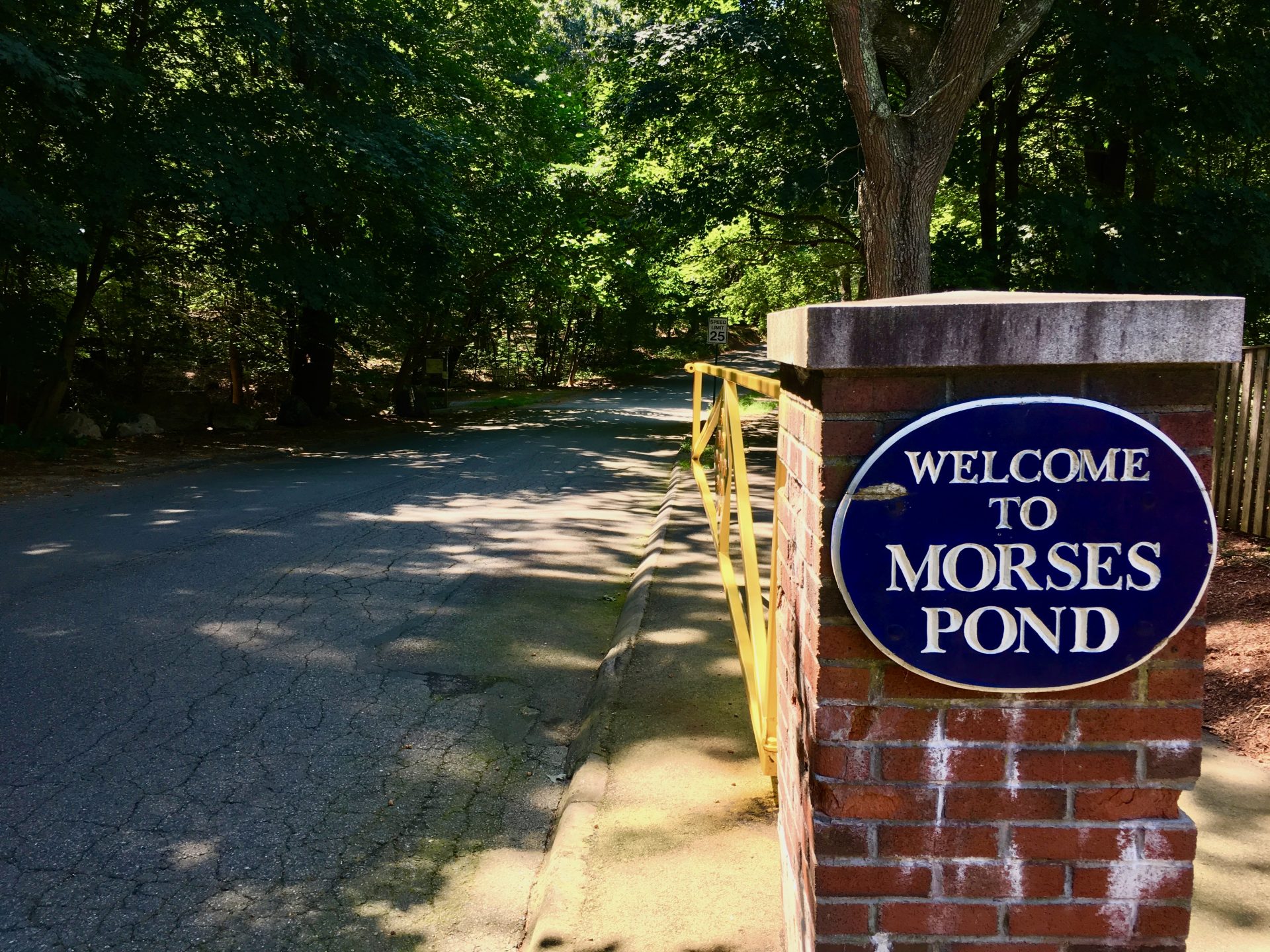 Morses Pond reservation system opens June 7 - The Swellesley Report