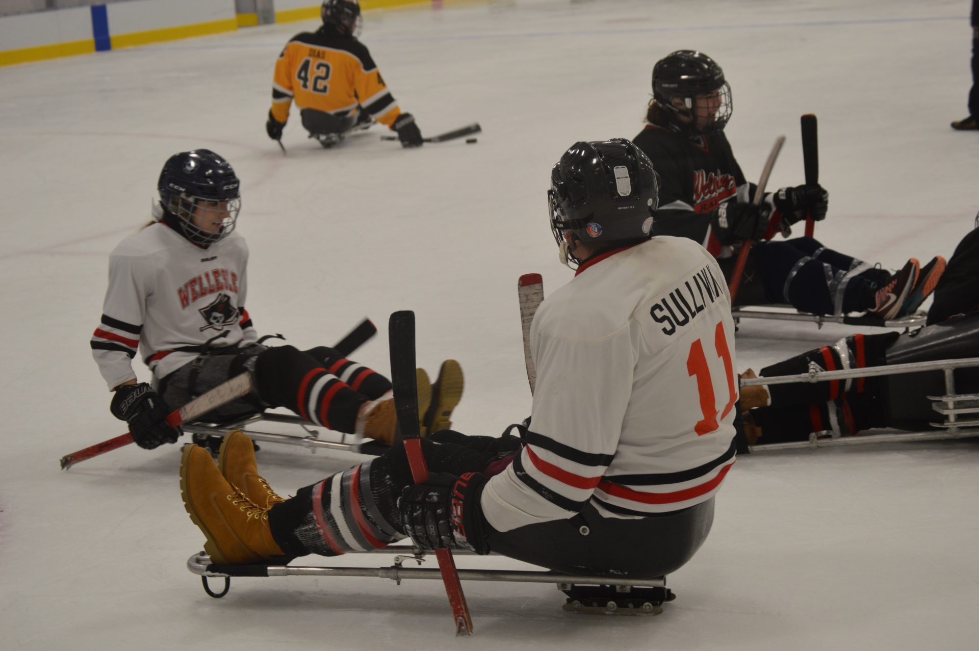 Sled hockey hits Wellesley - The Swellesley Report