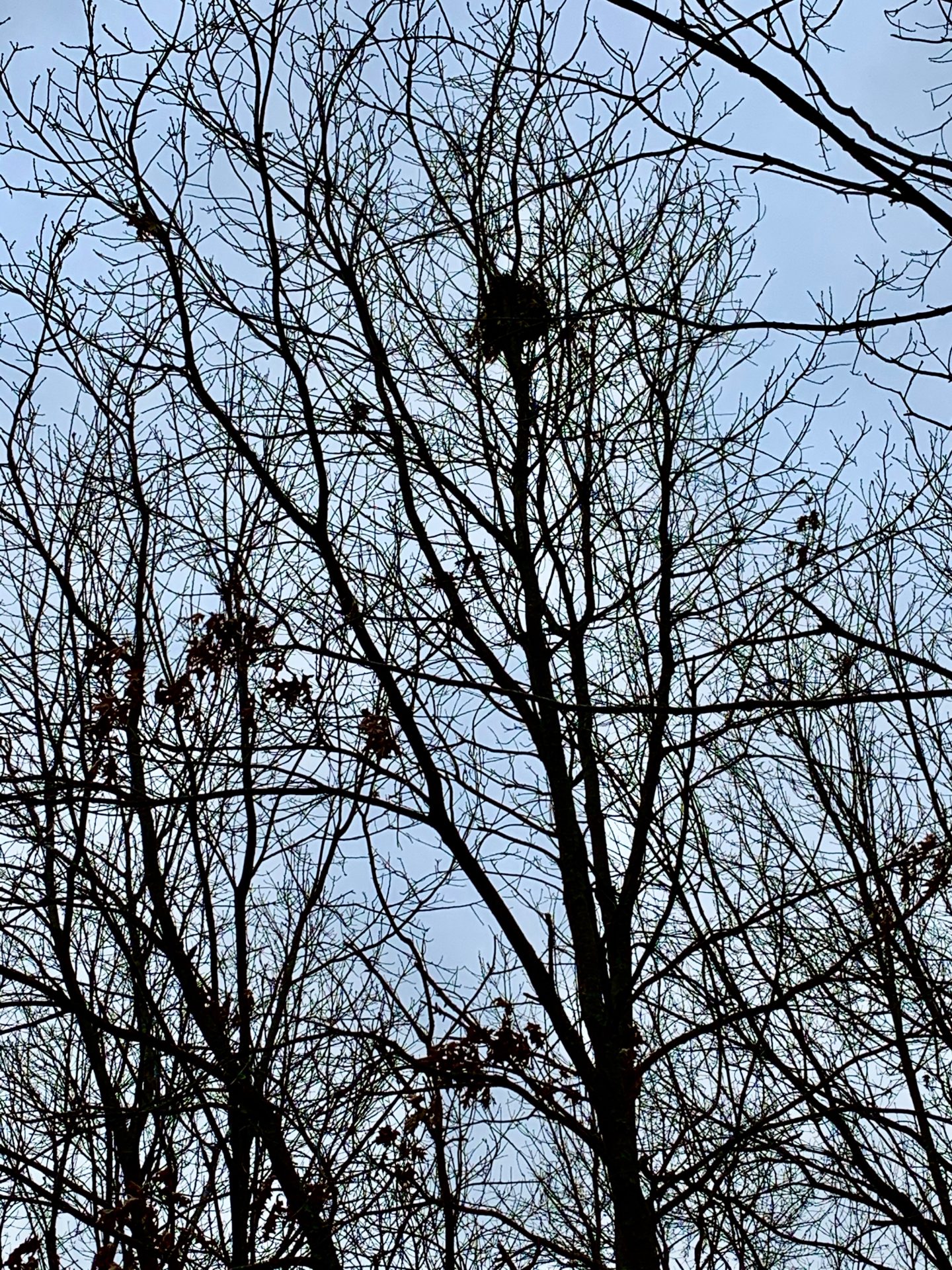 Wellesley hikes — the Waban Arches and Sudbury Aqueduct - The ...