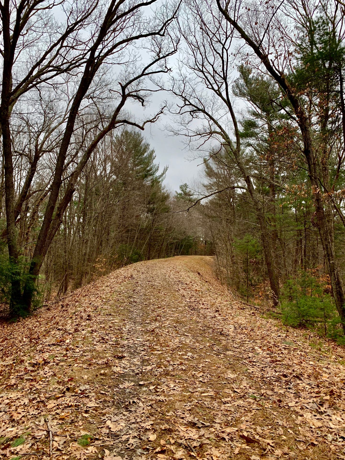 Wellesley hikes — the Waban Arches and Sudbury Aqueduct - The ...
