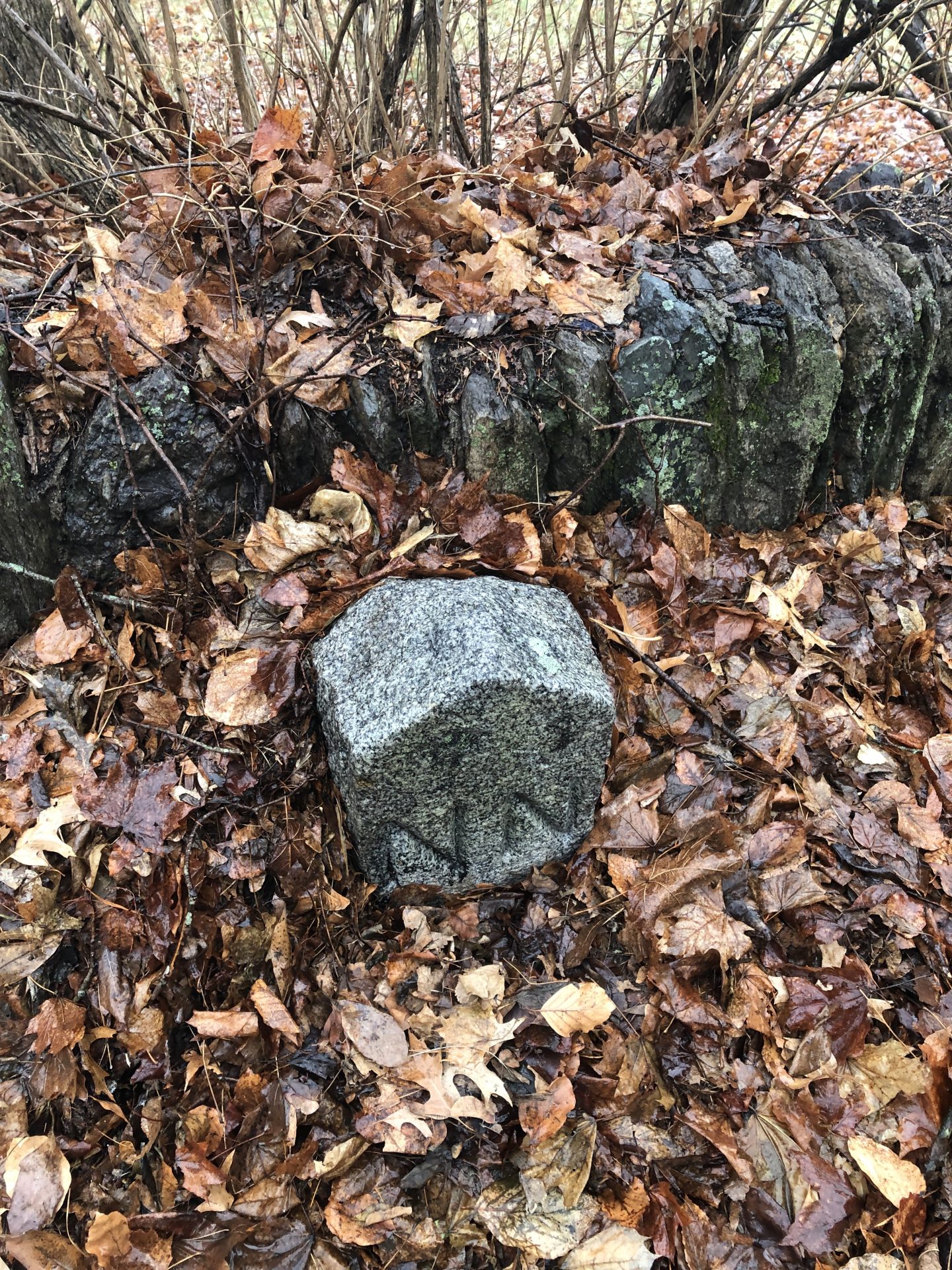 People now 'Entering Wellesley' with confidence again - The Swellesley ...