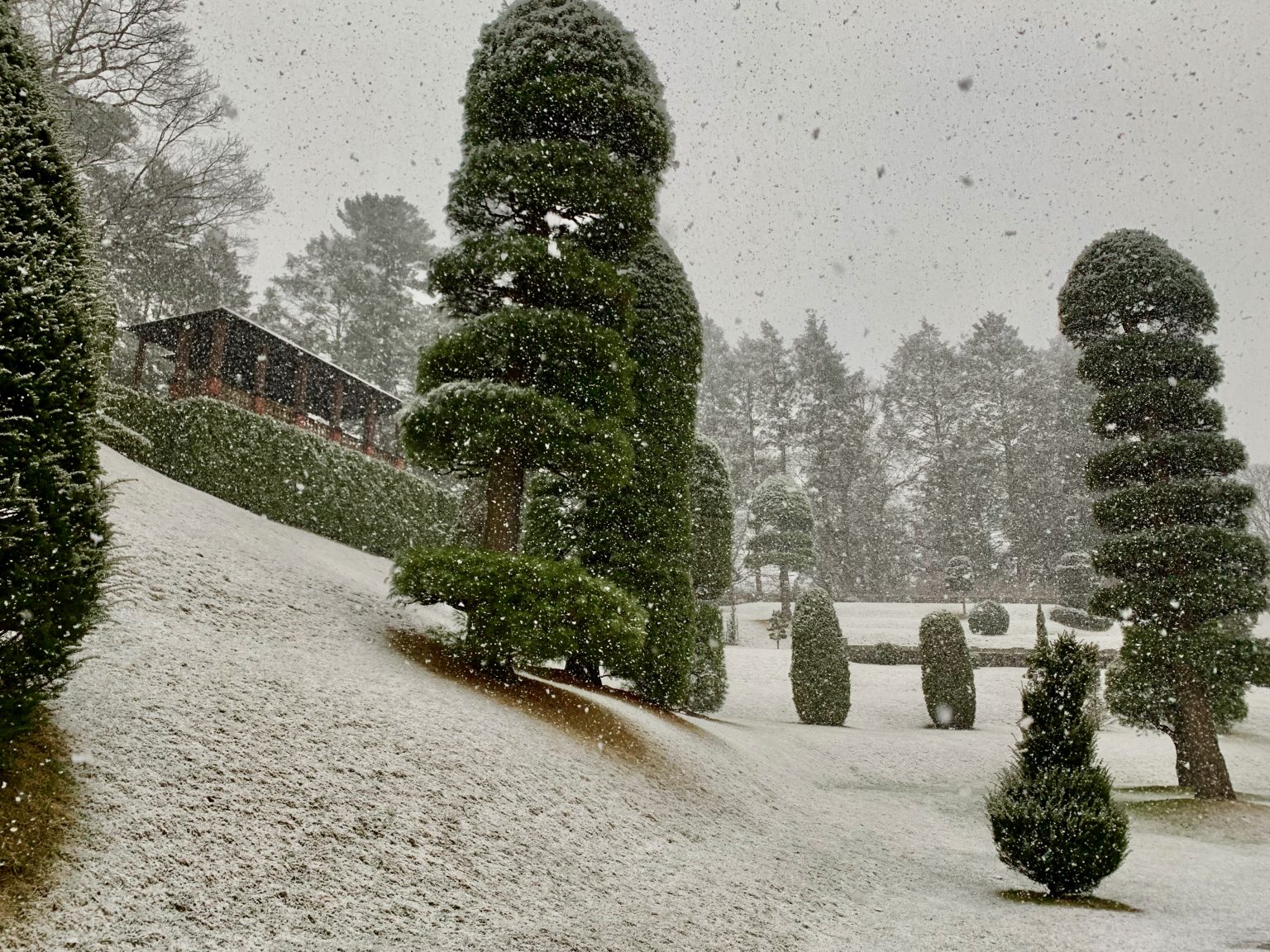 Wellesley & The Hunnewell Family - The Swellesley Report