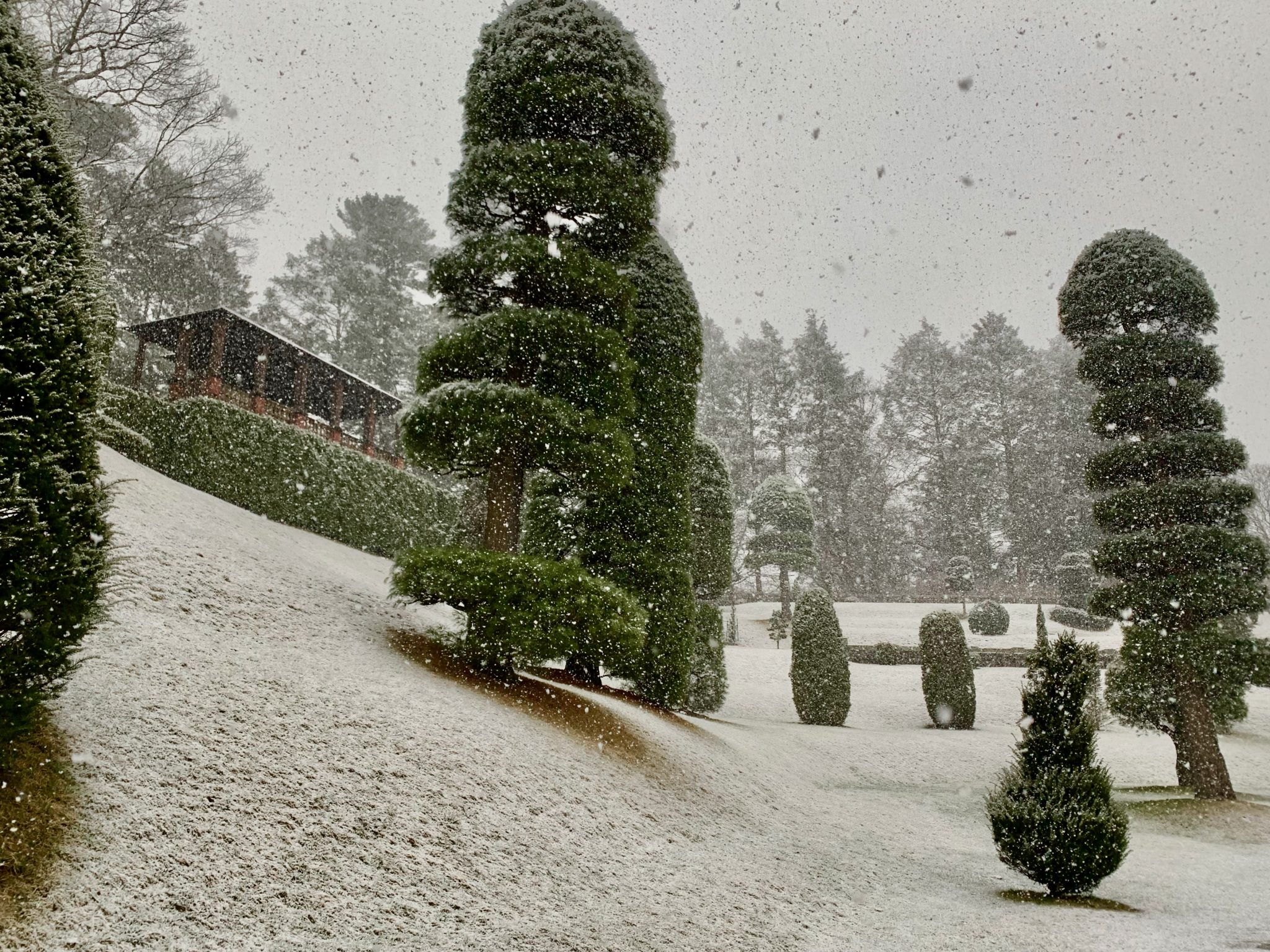 Wellesley & The Hunnewell Family - The Swellesley Report