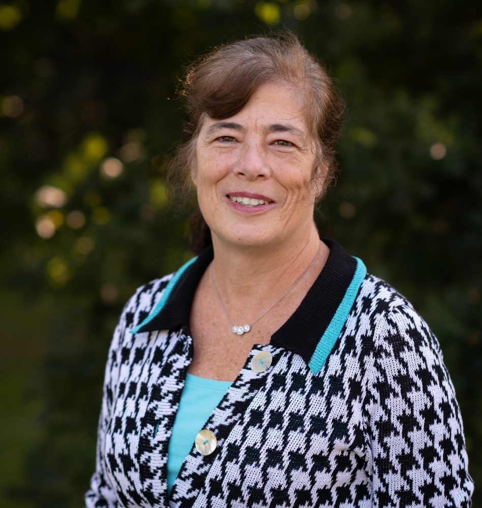 Meet Wellesley candidate for Board of Selectmen, Beth Sullivan Woods ...