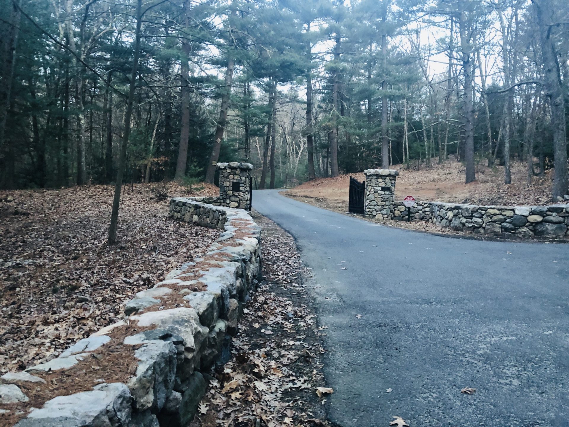 Wellesley's Pond Road could get change of scenery - The Swellesley Report