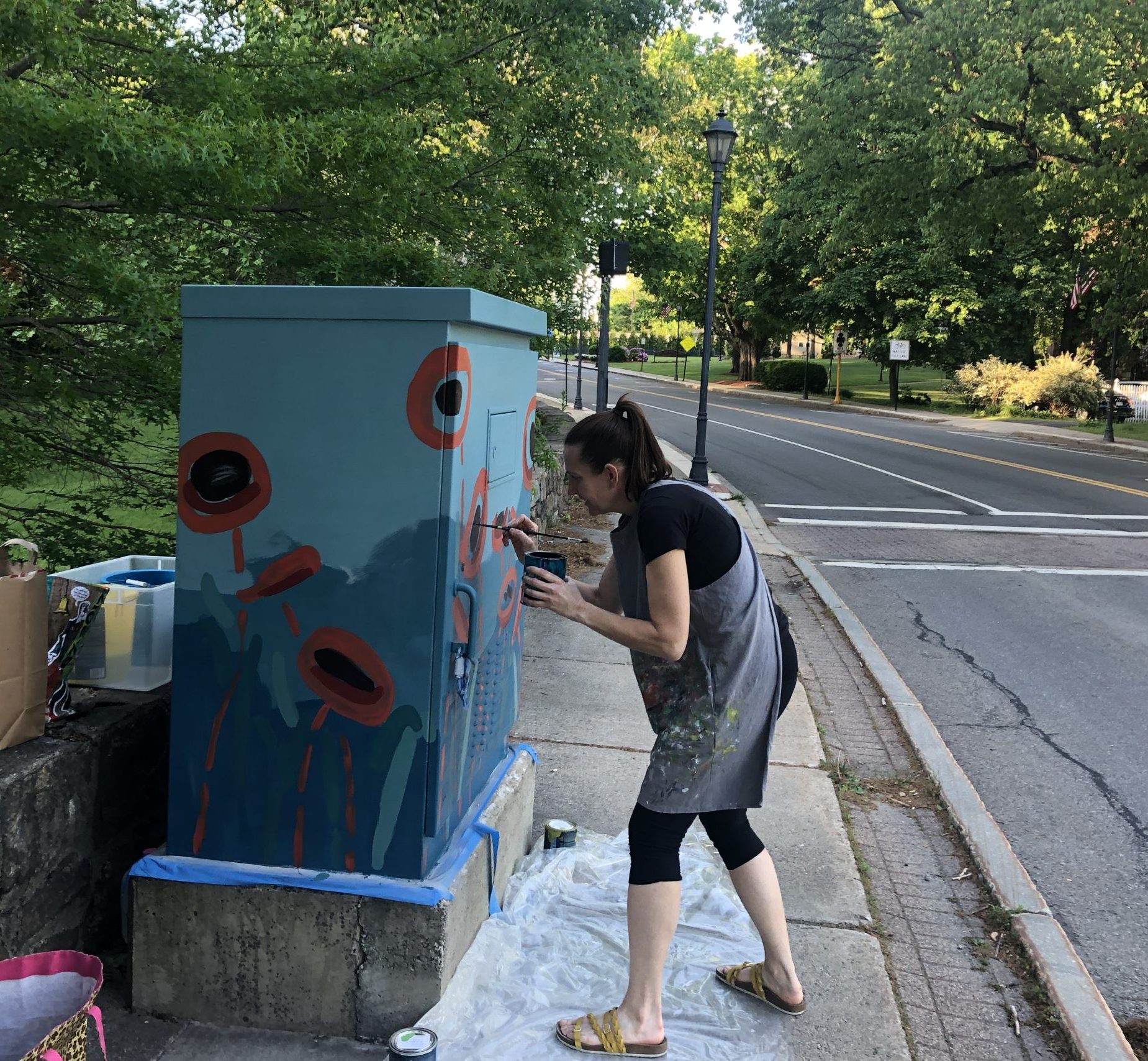 Wellesley electrical boxes coming alive - The Swellesley Report