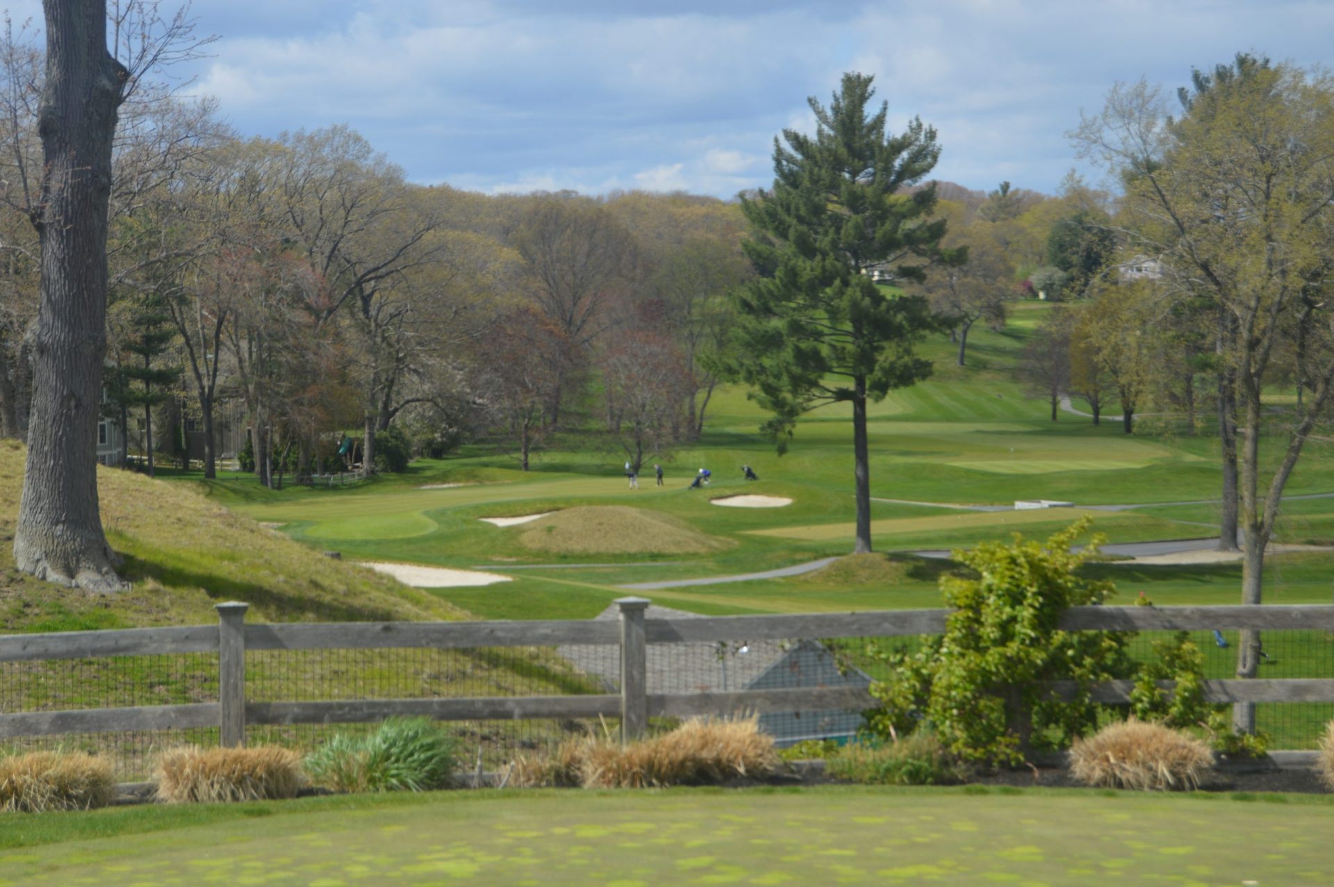 Wellesley golf back in action - The Swellesley Report