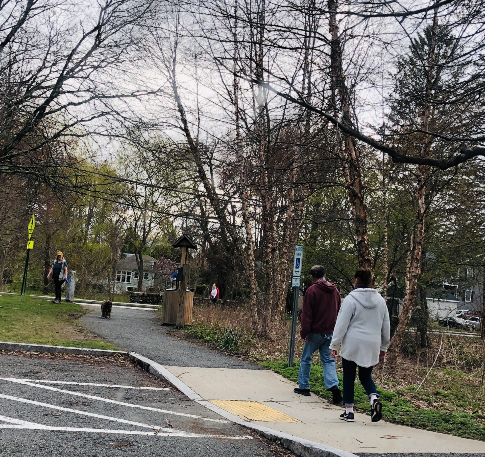 Wellesley exercising bad judgment with possible Brook Path ban for ...