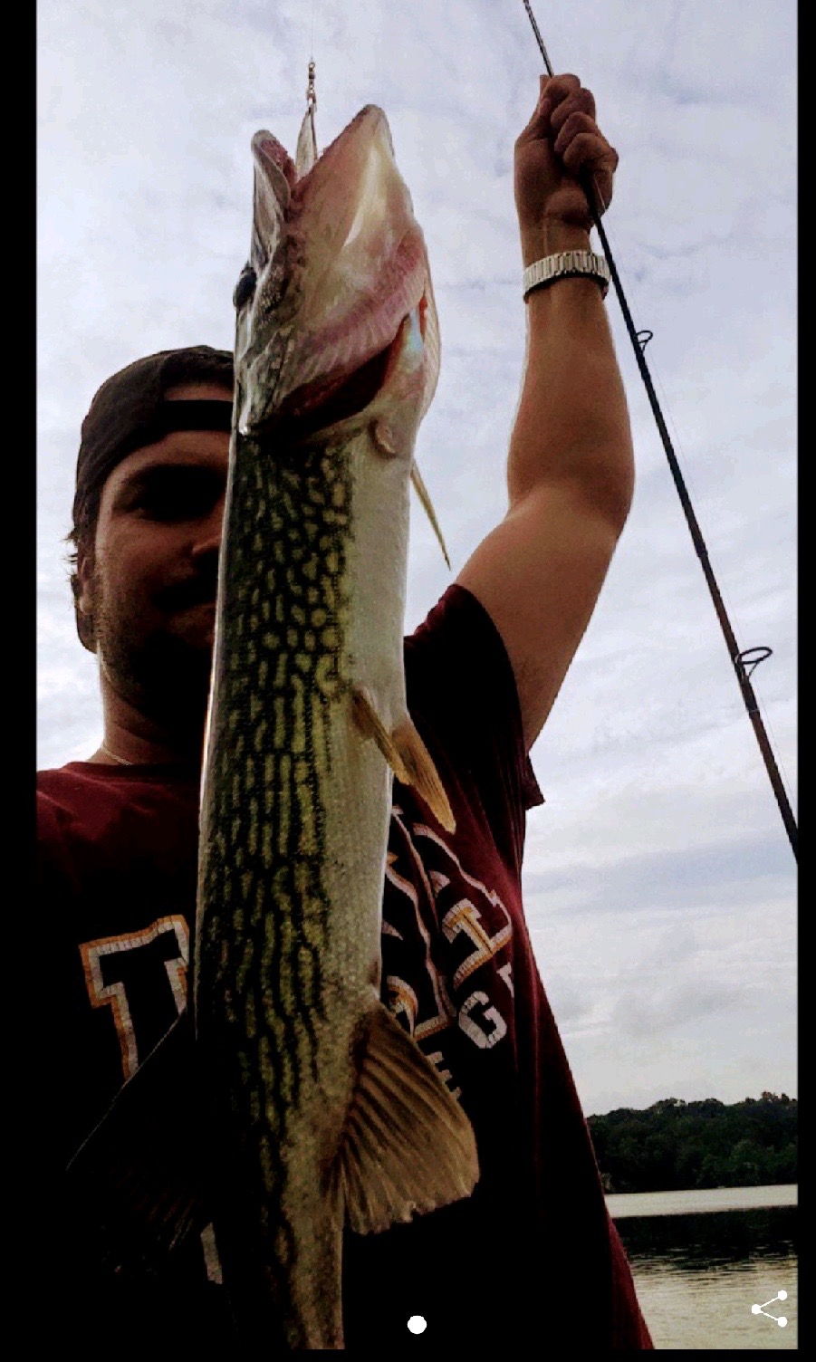 Where to fish in Wellesley - The Swellesley Report