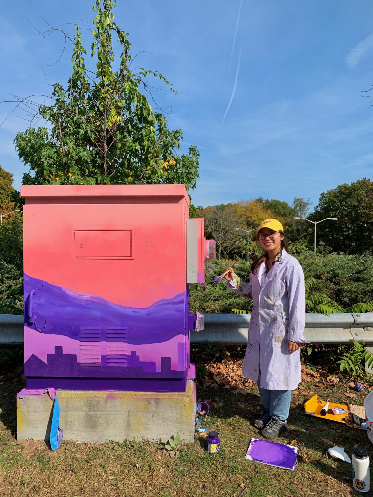 Artists transform four more Wellesley electrical boxes - The Swellesley ...