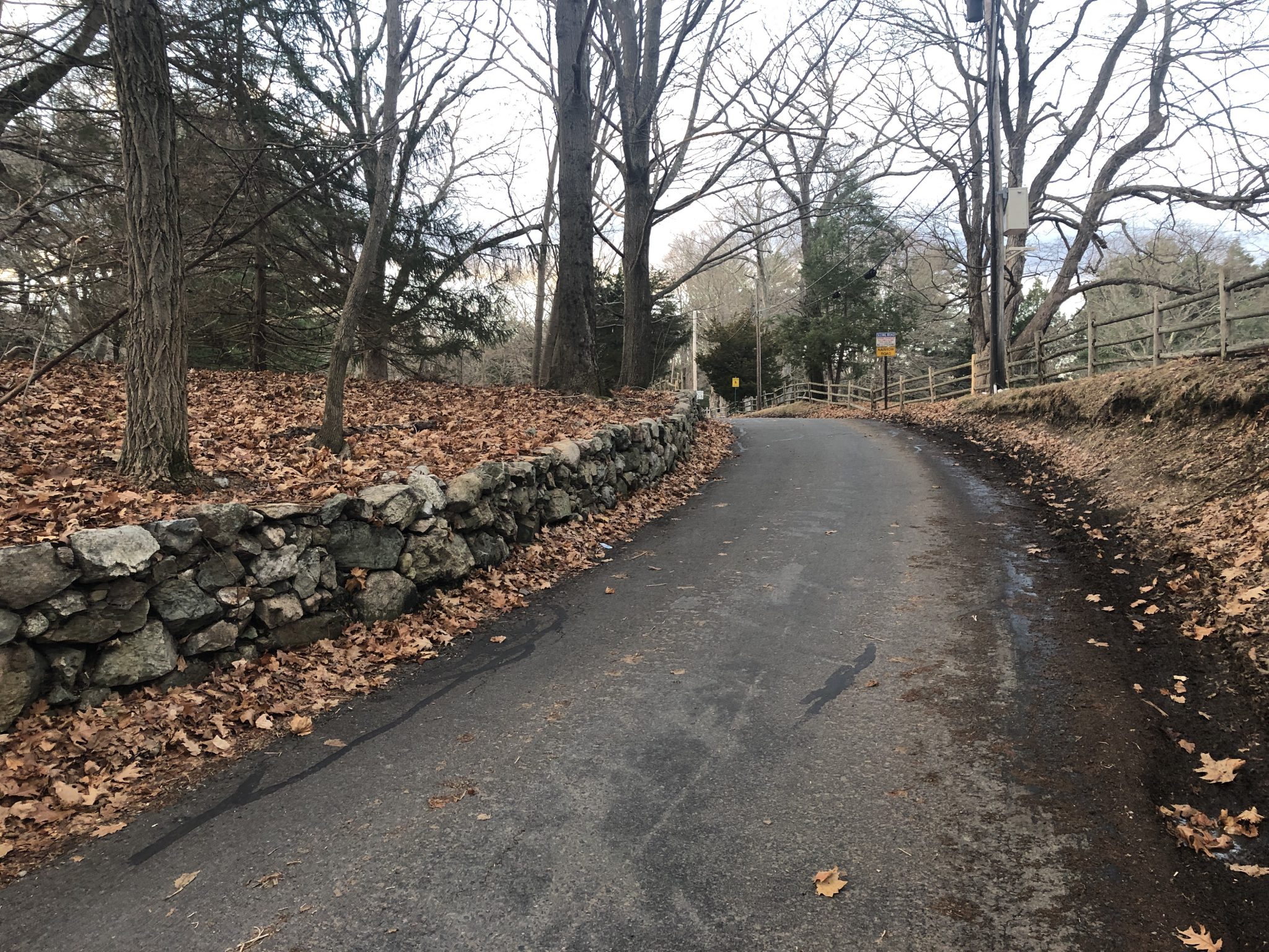 Wellesley's scenic roads - The Swellesley Report