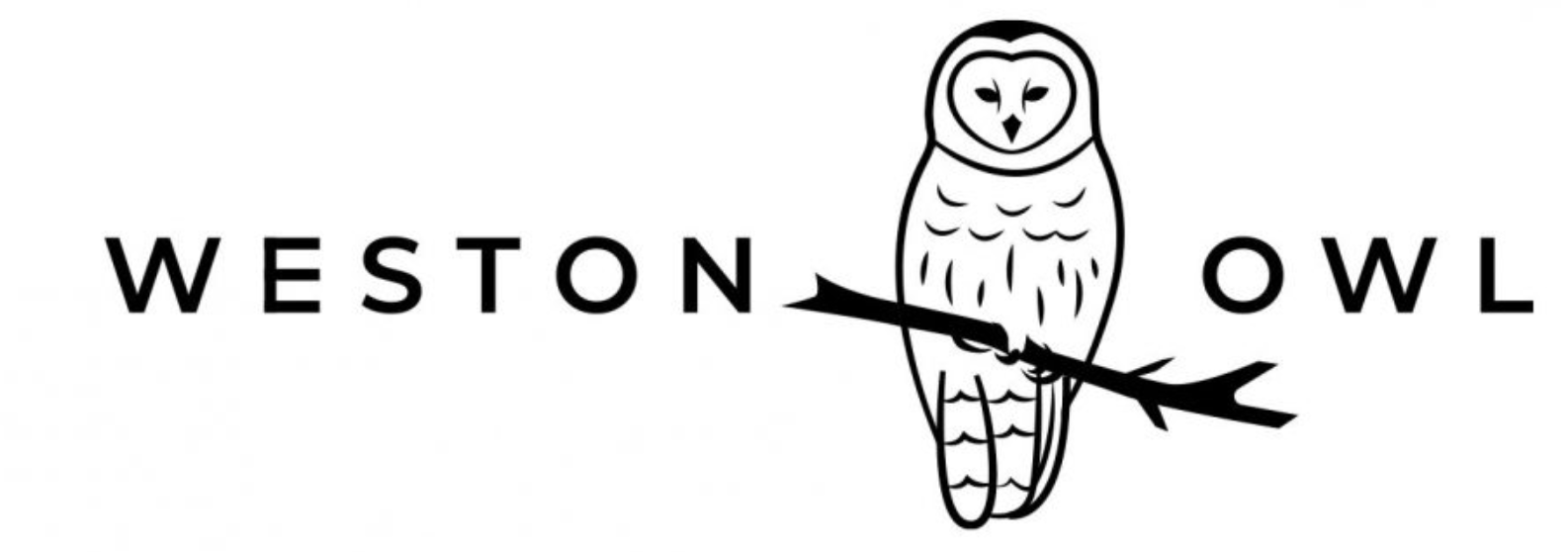 Swellesley readers: Meet the Weston Owl - The Swellesley Report