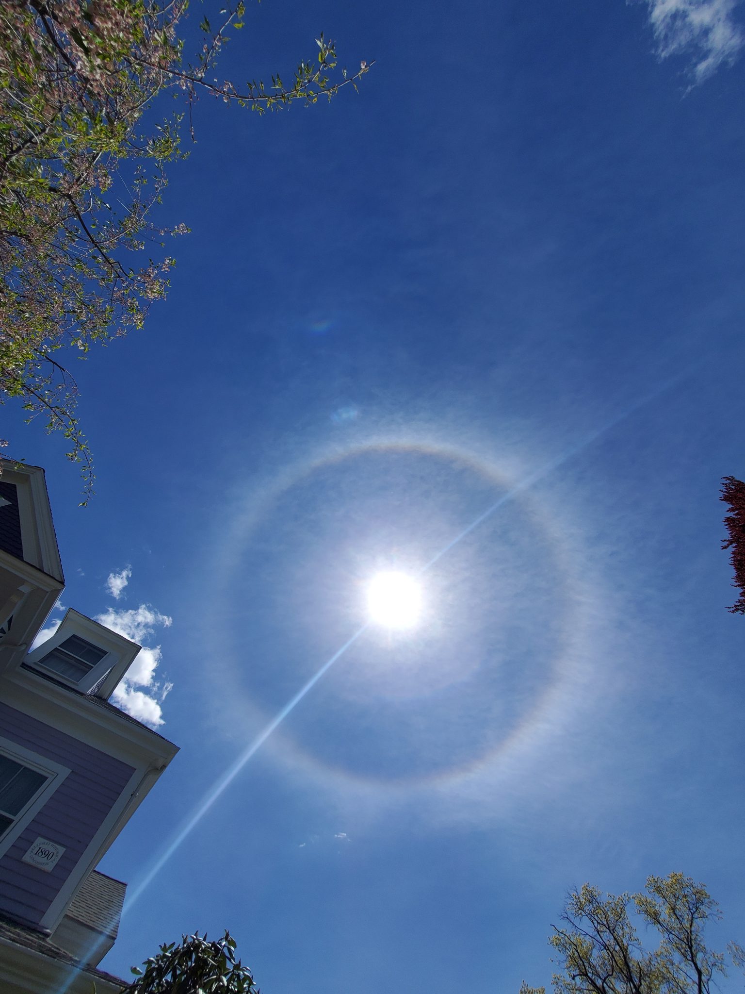 The Swellesley Report - Page 2 of 1877 - Since 2005: More than you ...