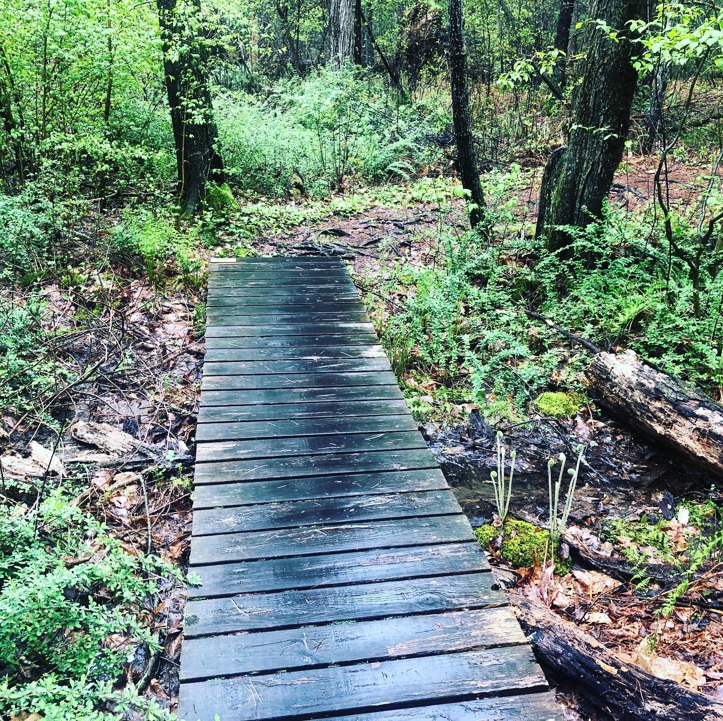 Celebrate National Trails Day by taking guided walk of Wellesley's ...