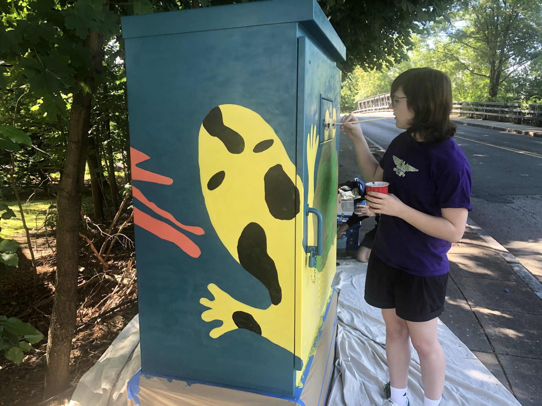 Evolution of a Wellesley electrical box - The Swellesley Report