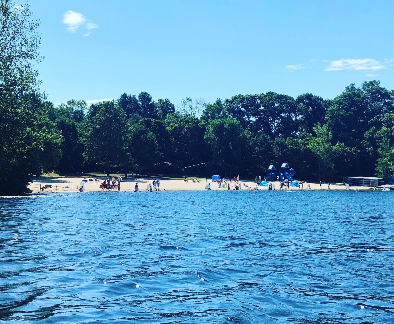 Things you should know about Morses Pond in Wellesley - The Swellesley ...