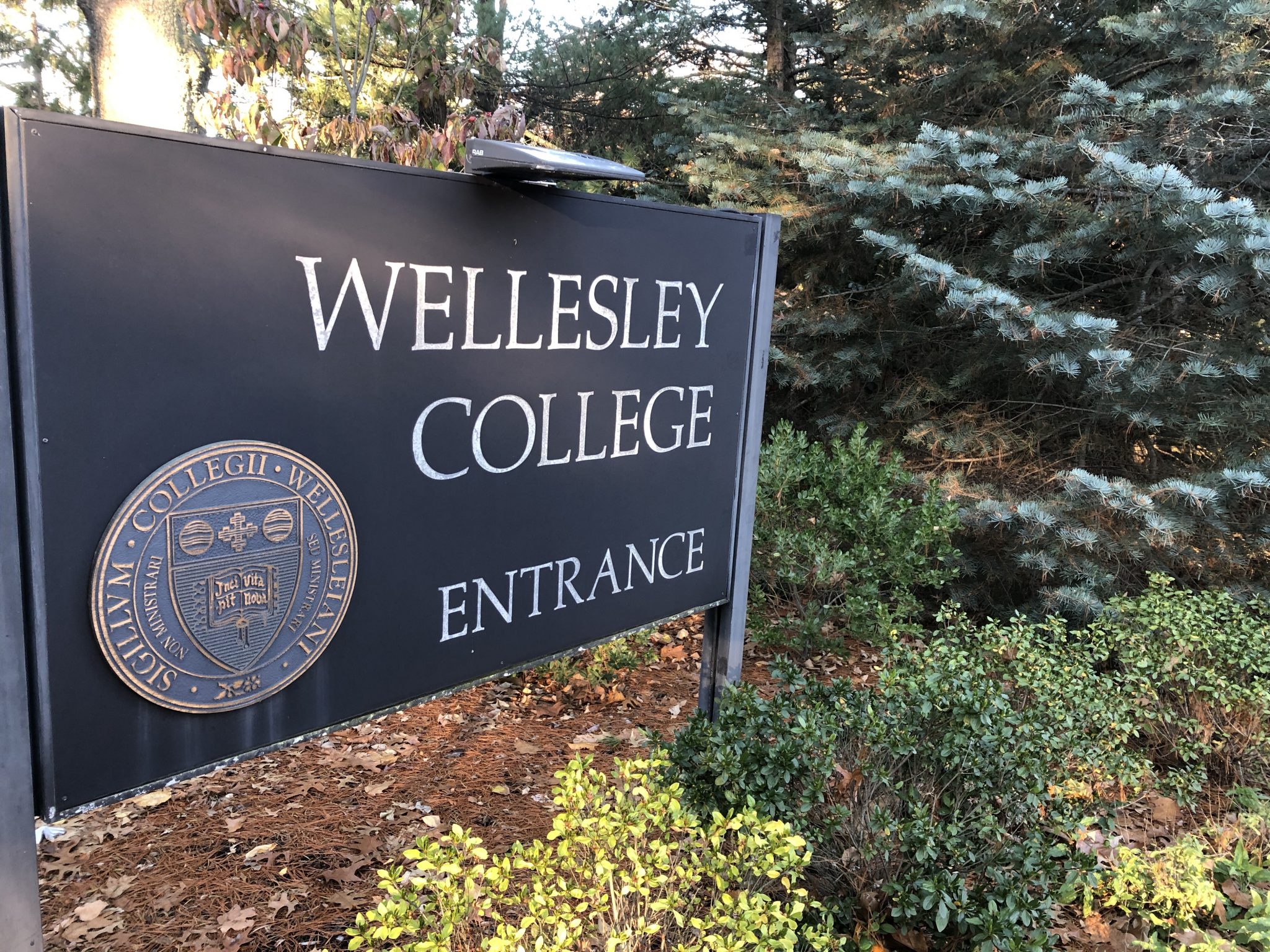 Babson, Wellesley College name commencement speakers - The Swellesley ...