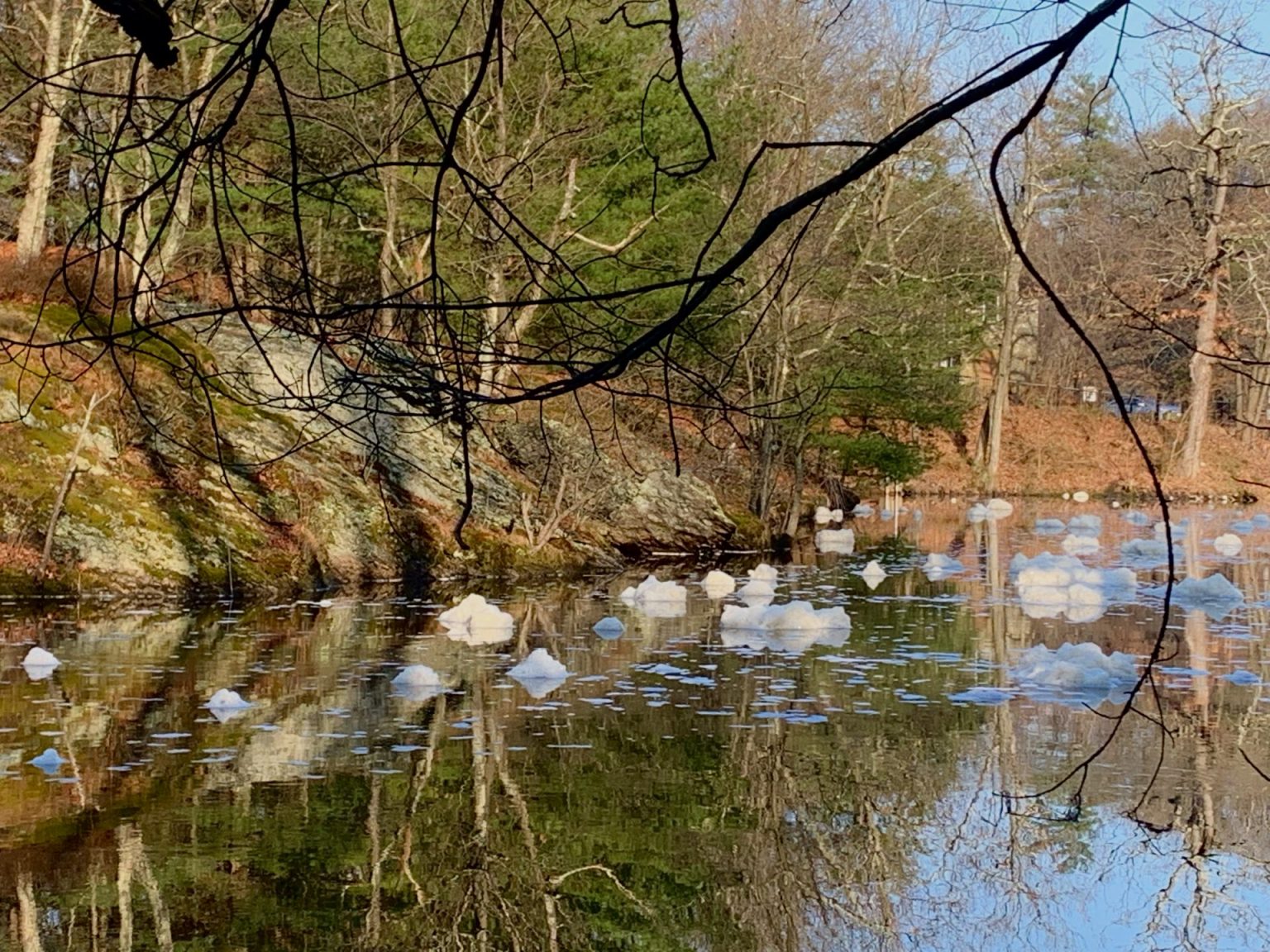 Hike Wellesley, Newton & Needham in one shot at Hemlock Gorge and Echo ...