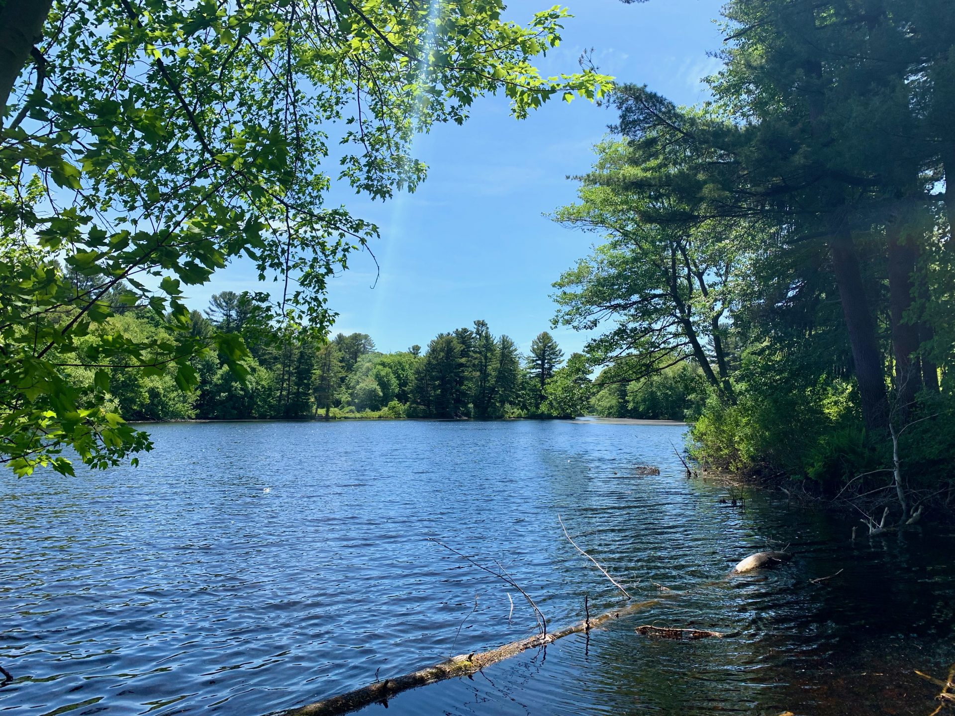 Outdoor Activities in Wellesley, Mass. - The Swellesley Report