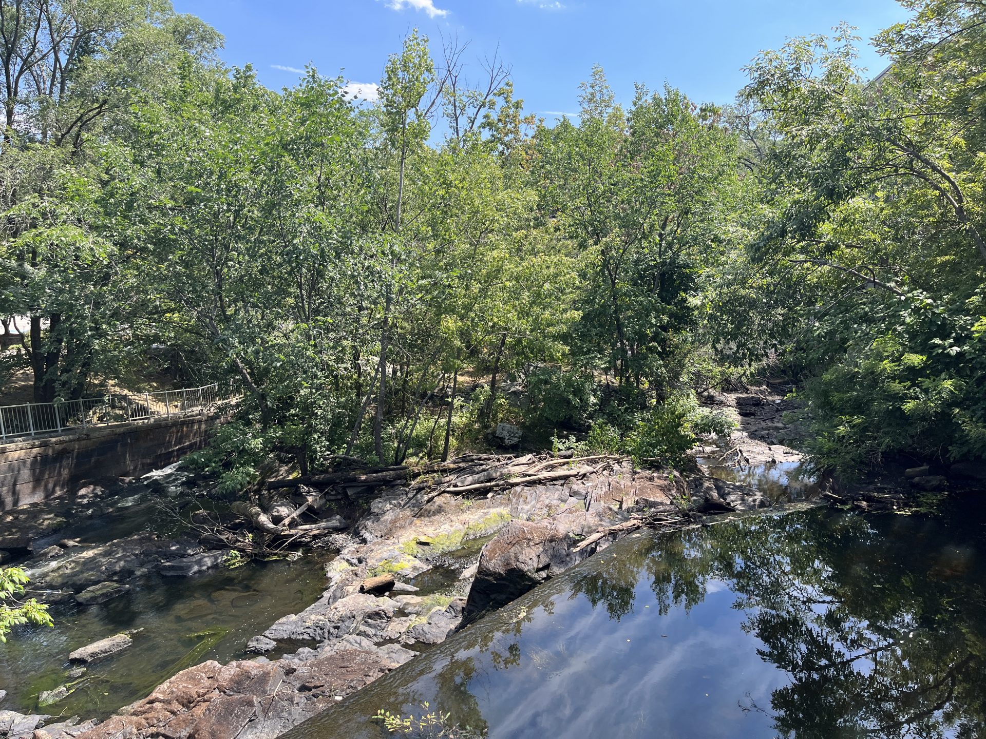 Wellesley's fall guided trails walks & activities - The Swellesley Report