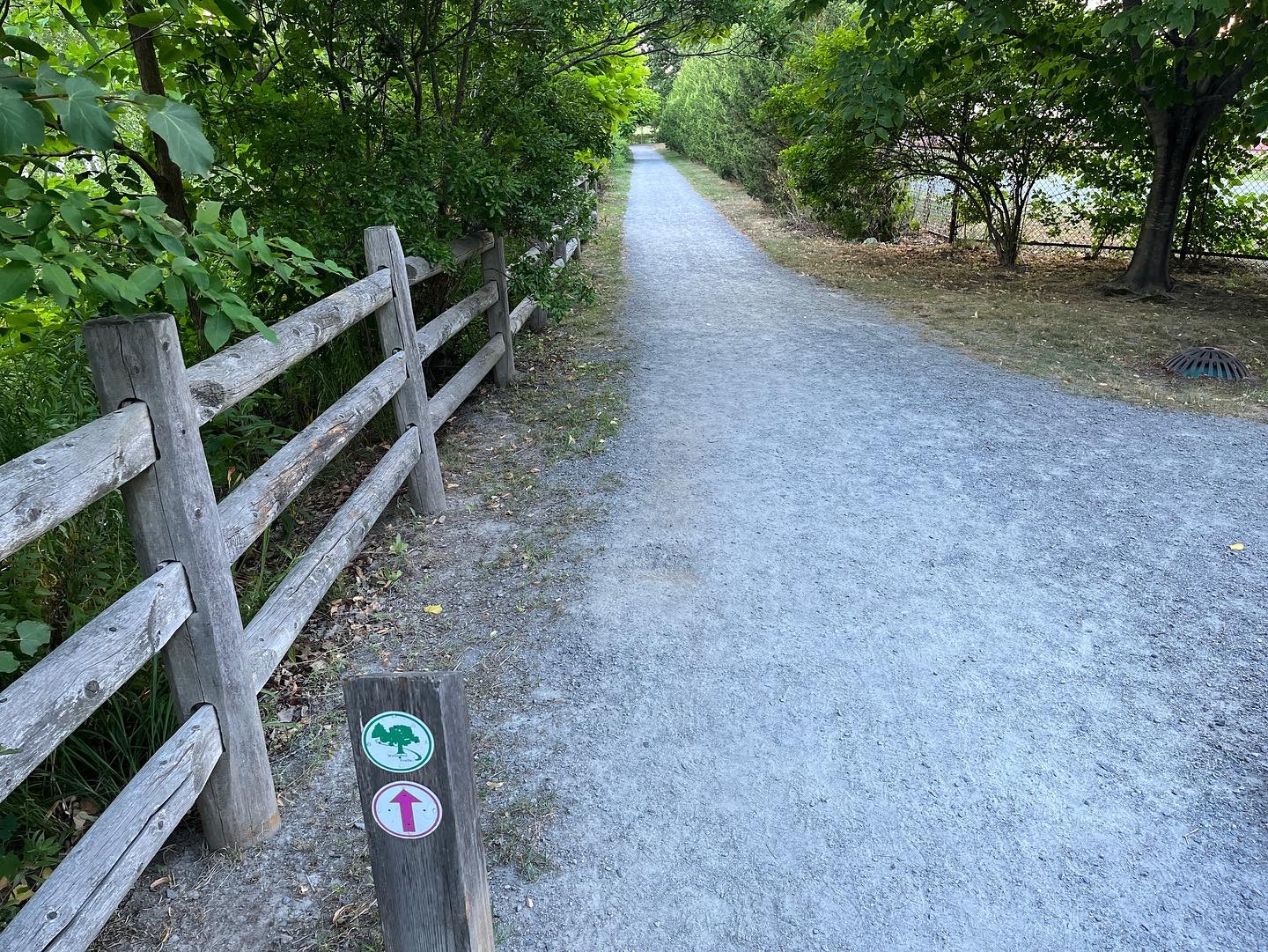 Save the dates: Wellesley's Spring guided trails walks - The Swellesley ...