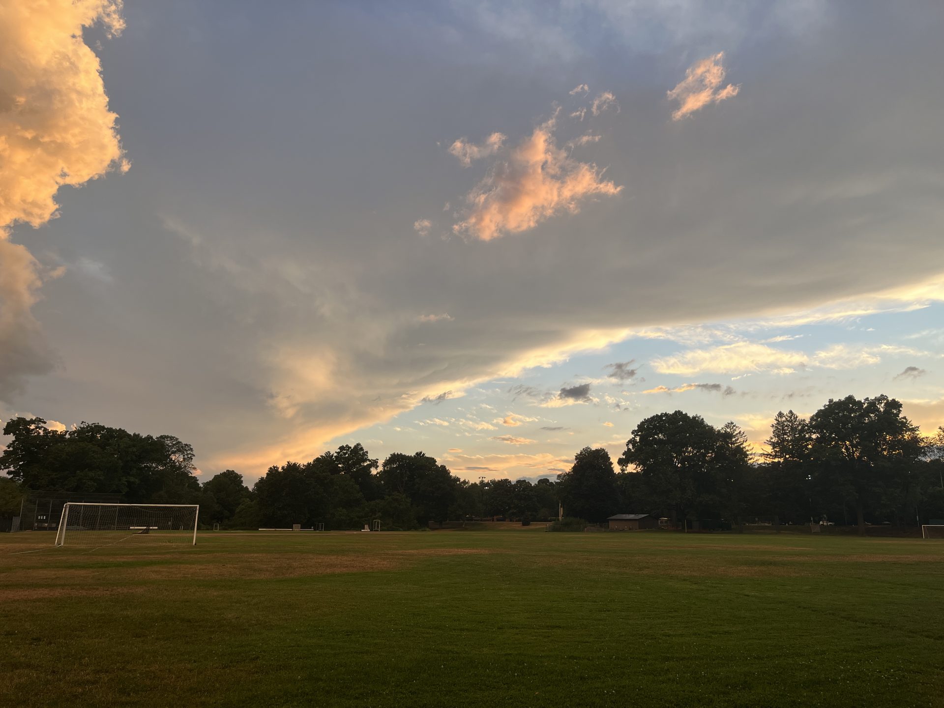 Wellesley & The Hunnewell Family - The Swellesley Report