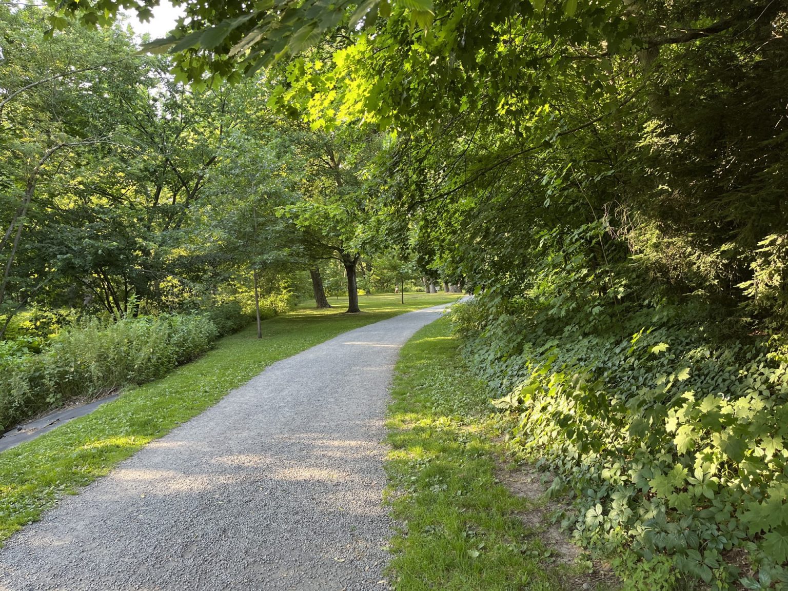 Save the dates: Wellesley's Spring guided trails walks - The Swellesley ...