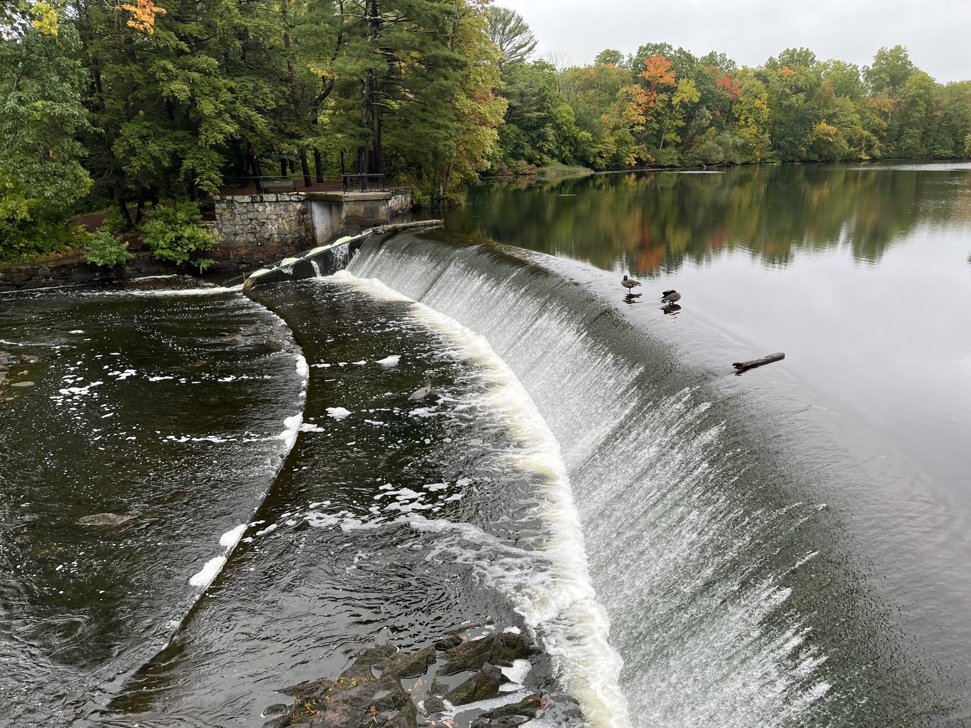 Natick Select Board chooses removal over repair at Charles River dam ...