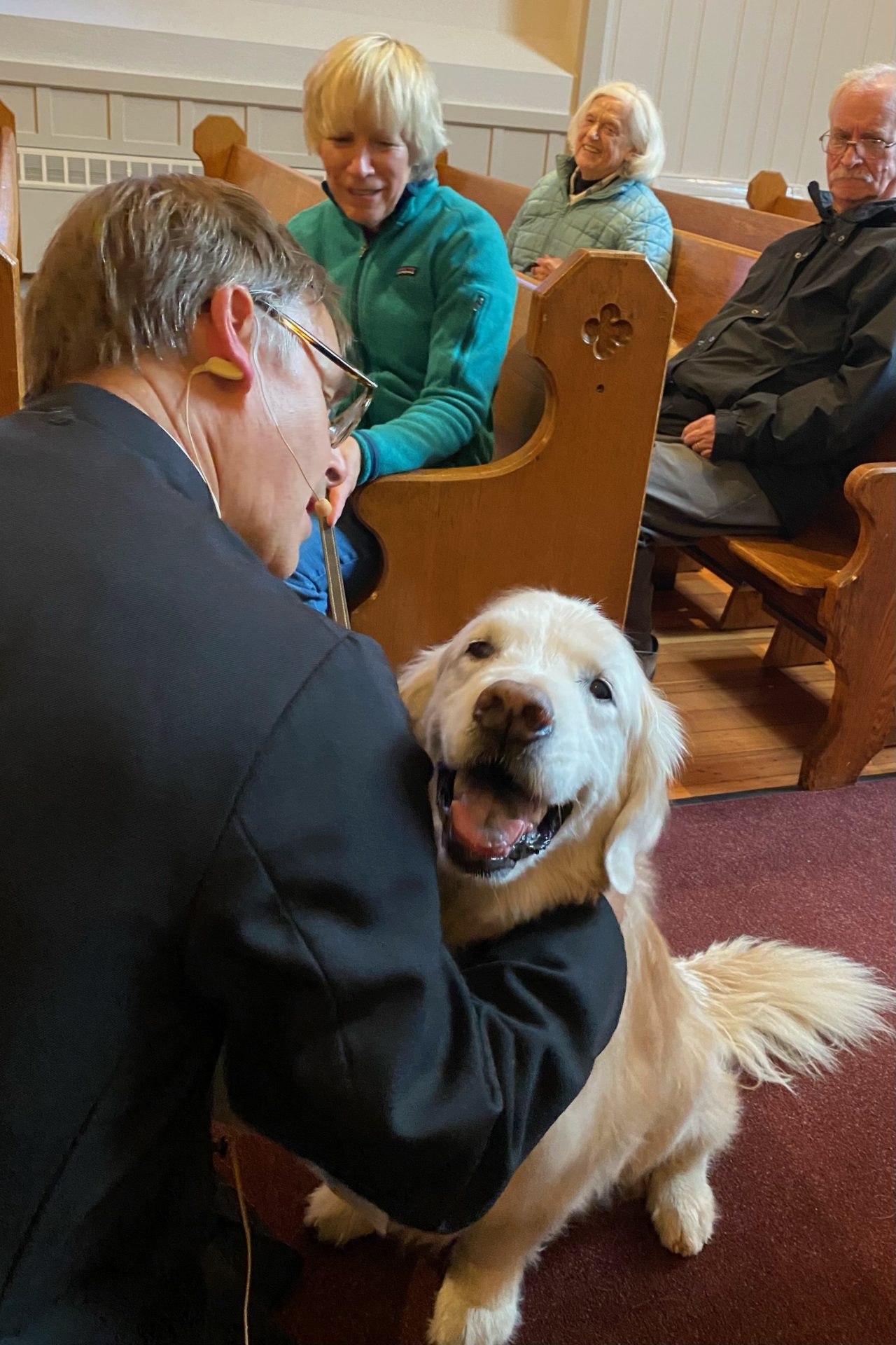 Wellesley churches ready for Blessing of the Animals - The Swellesley ...