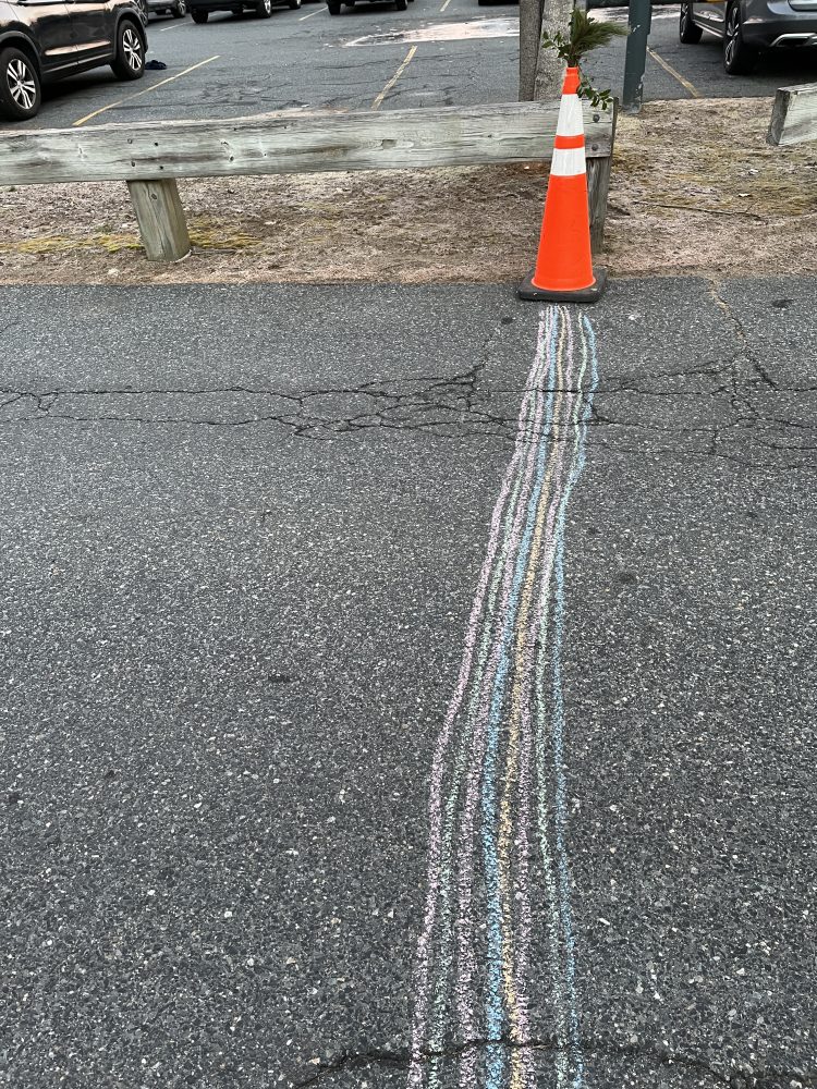 Happy winter solstice, Wellesley - The Swellesley Report