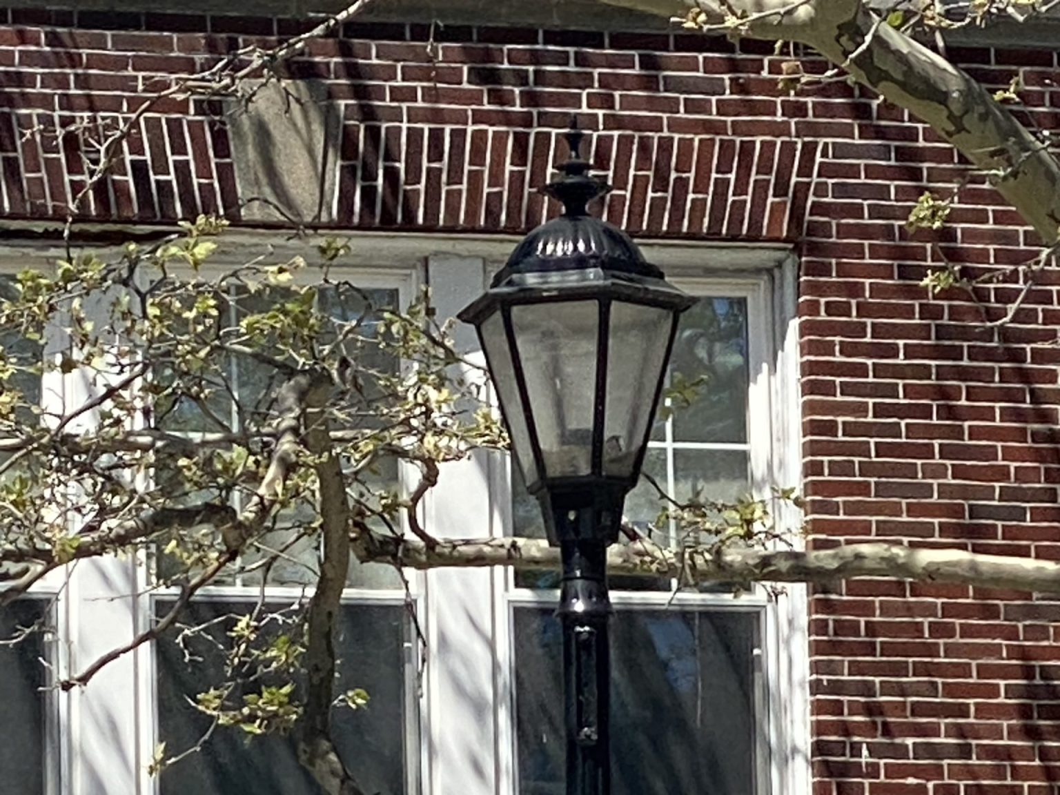 New Wellesley Square high rise is for the birds - The Swellesley Report