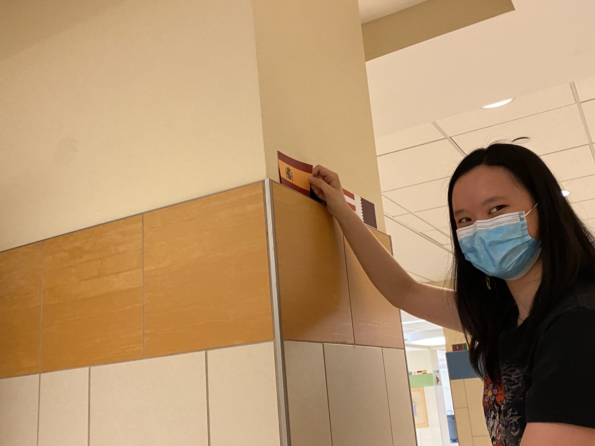 Wellesley High students commit to inclusivity with ‘Flags of ...