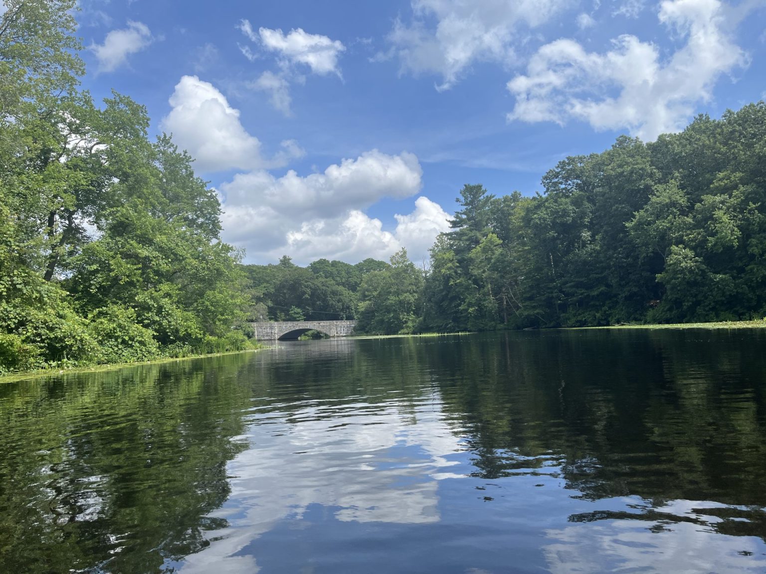 Photos from a summer kayak trip on the Charles River - The Swellesley ...