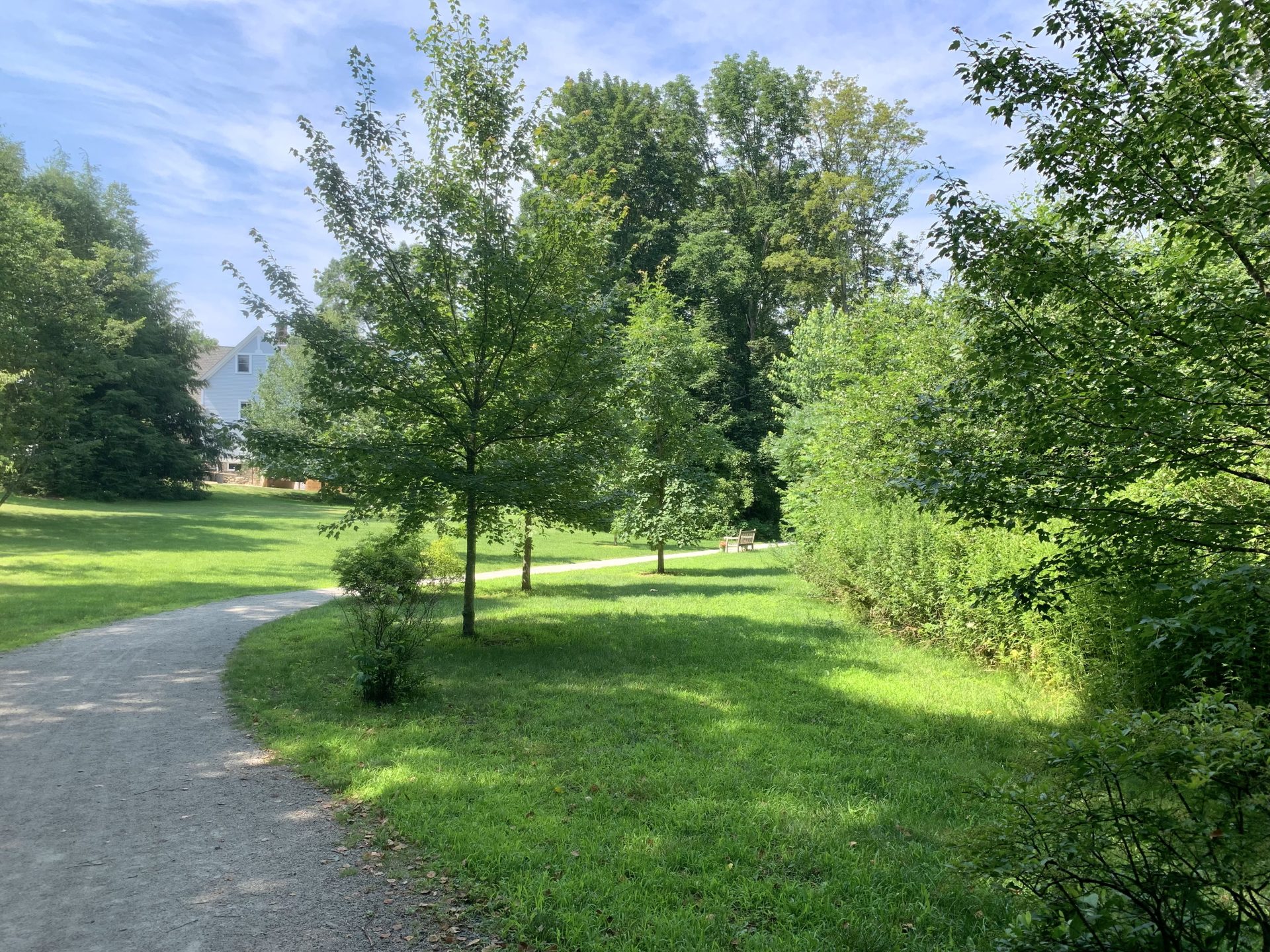 An hour in a Wellesley garden—a tour of Fuller Brook Park - The ...