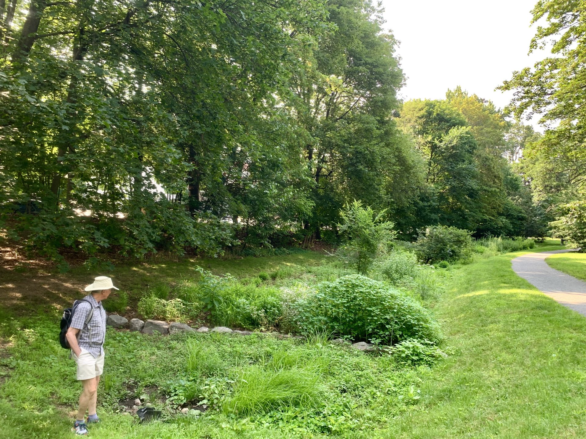 An hour in a Wellesley garden—a tour of Fuller Brook Park - The ...