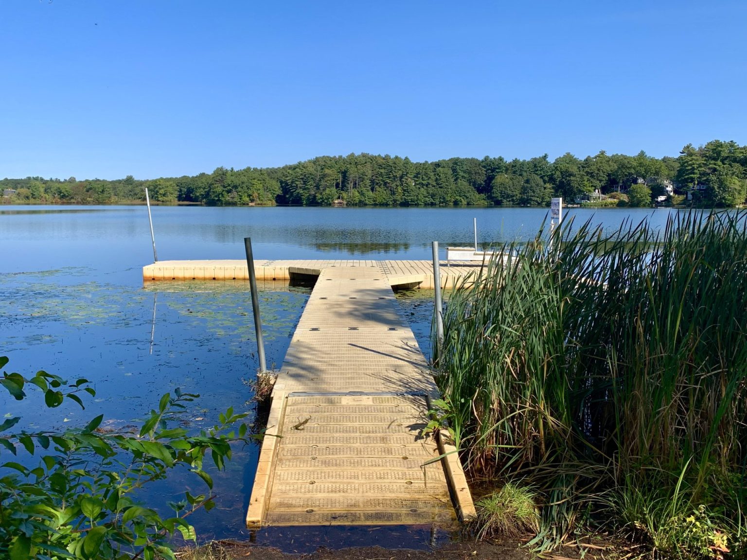Things you should know about Morses Pond in Wellesley - The Swellesley ...