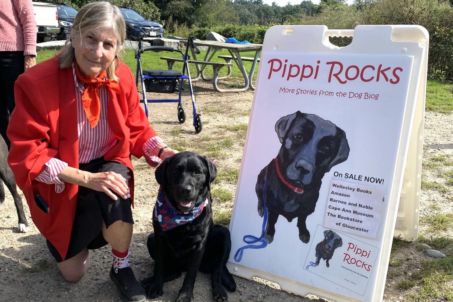 Pippi the black lab celebrates book launch with friends at Centennial ...