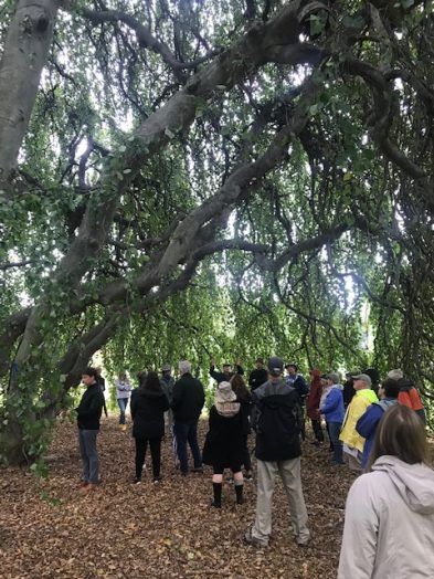 Wellesley Historical Society hosts tour at Hunnewell Estate - The ...