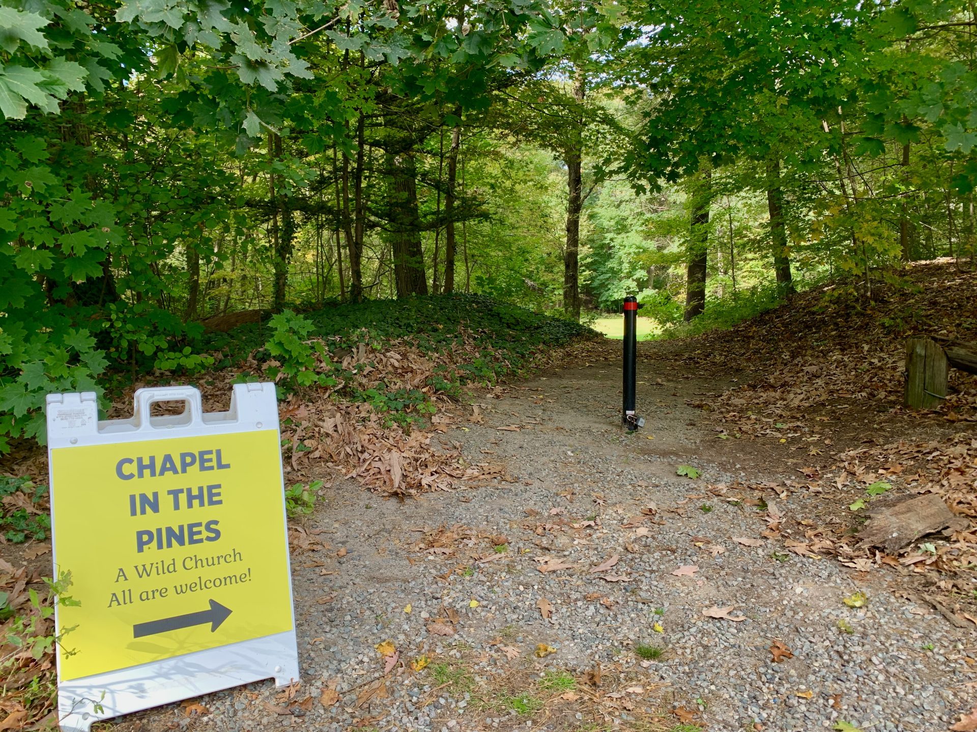 Where to worship in Wellesley (and beyond) - The Swellesley Report